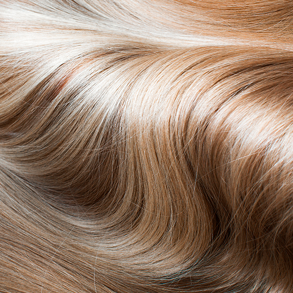 Profesional – Marcel France