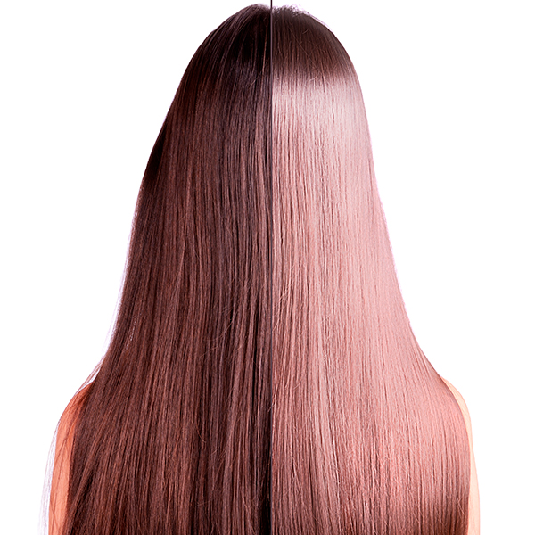 Profesional – Marcel France