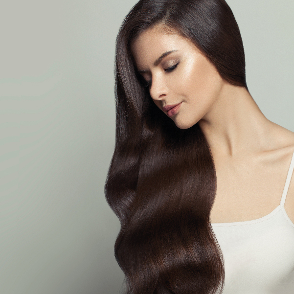 Mantenimiento – Marcel France